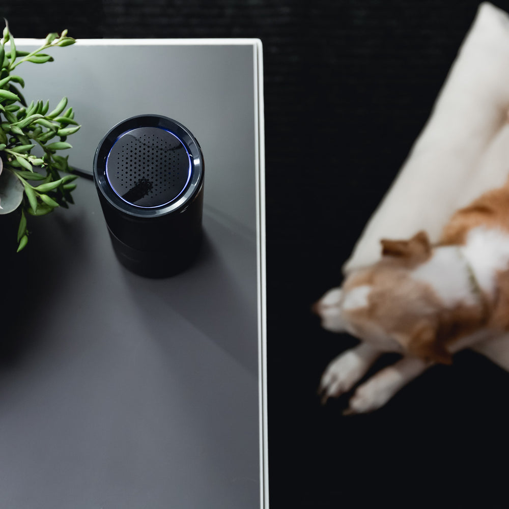 CleanLight Air | UV-C Light | KeySmart